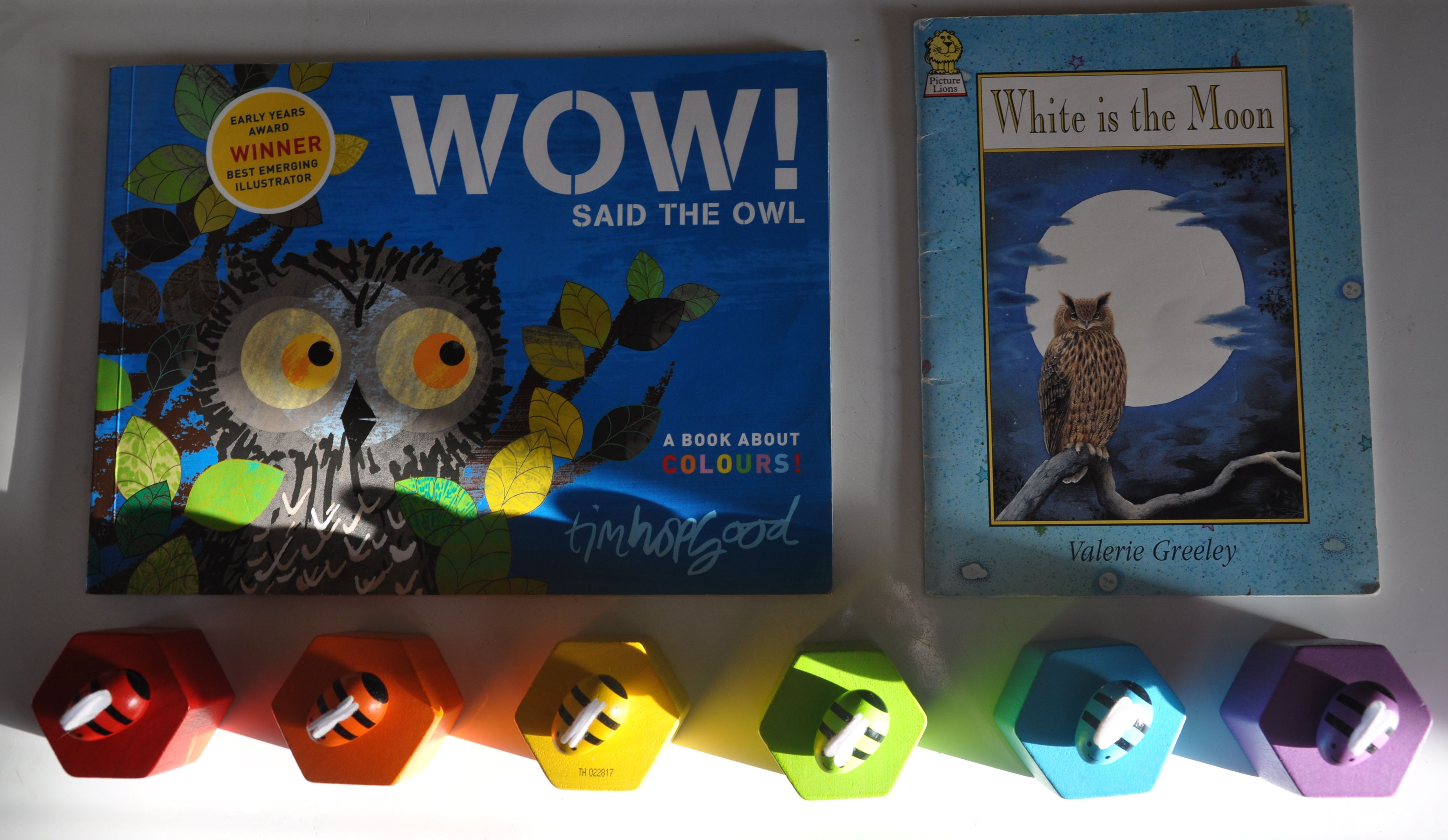 Wow! Said the Owl, by Tim Hopgood & White is the Moon, by valerie ...
