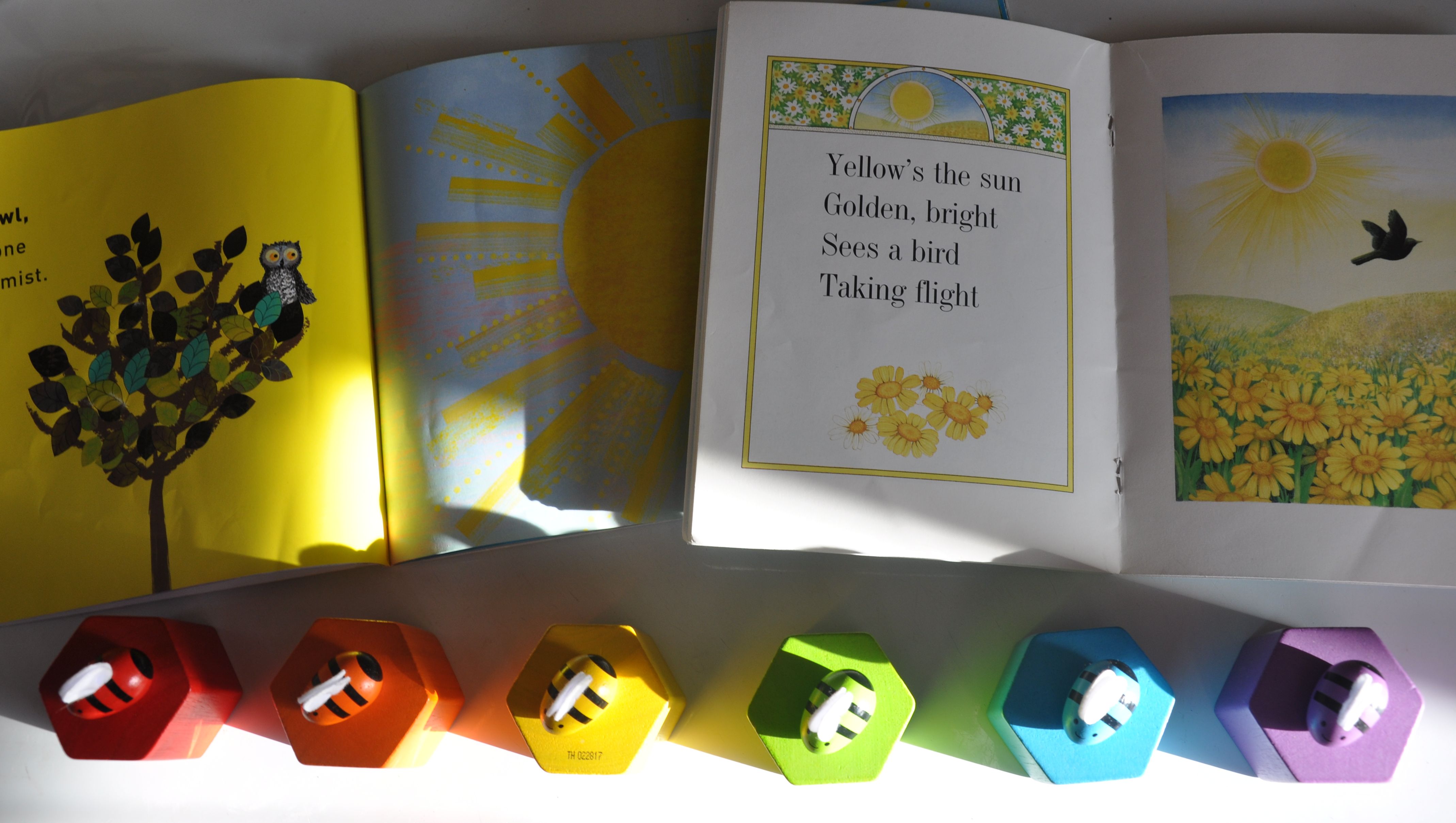 Wow! Said the Owl, by Tim Hopgood & White is the Moon, by valerie ...