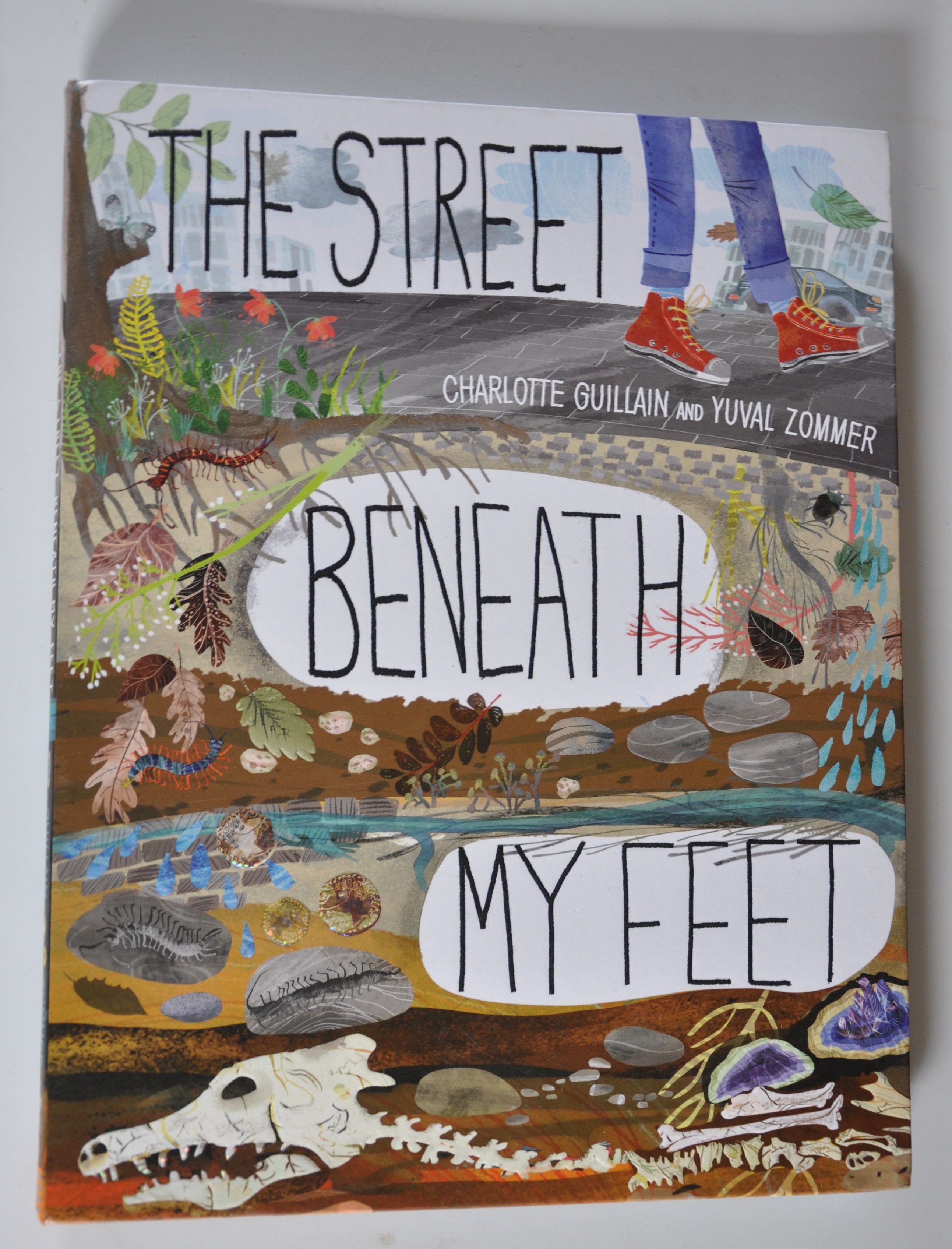 The Street Beneath My Feet, by Charlotte Guillain and Yuval Zommer ...